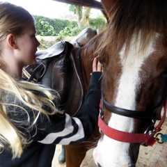 Learning From Children - Horse Play - Chandler's Ford Today