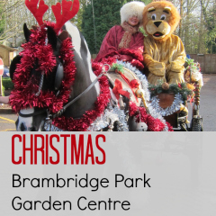 Christmas Brambridge Park Garden Centre - Chandler's Ford Today