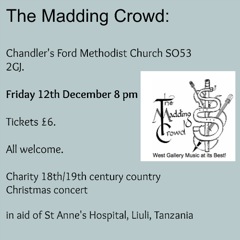 The Madding Crowd Concerts - Chandler's Ford Today
