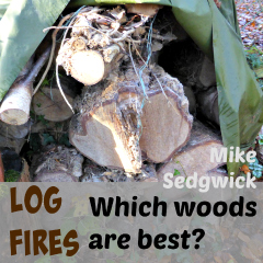 Which woods are best for log fires - Chandler's Ford Today