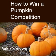 How to Win a Pumpkin Competition - Chandler's Ford Today