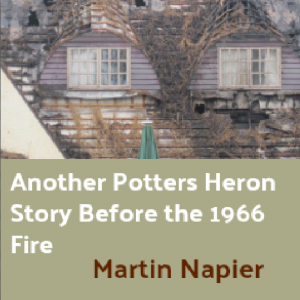 Martin Napier, Author at Chandler's Ford Today