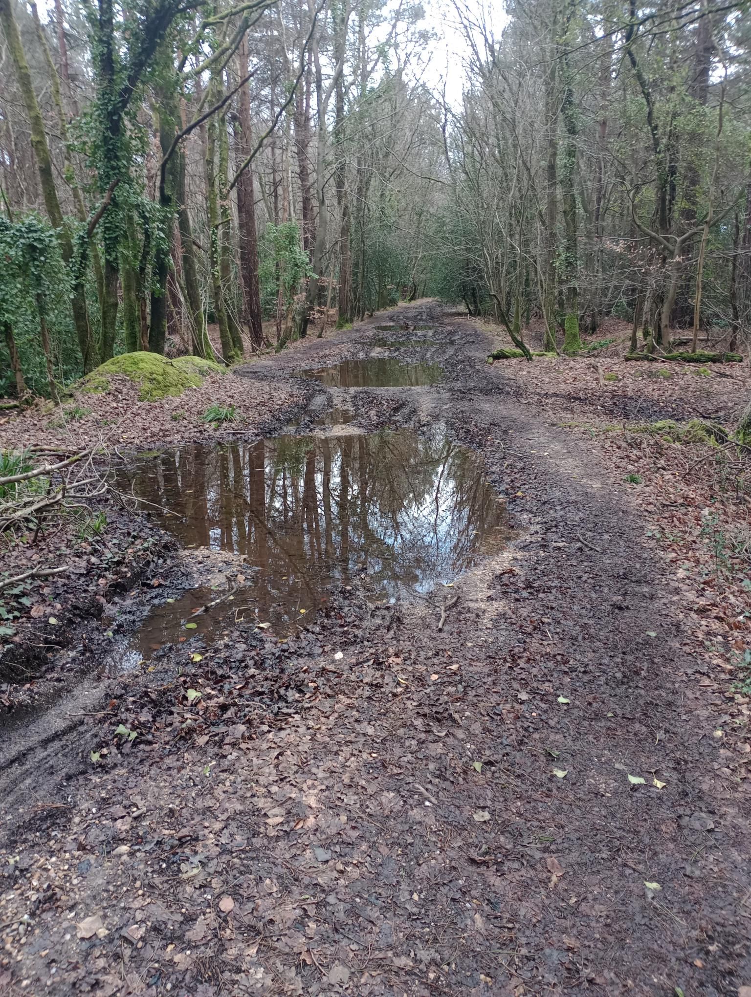 Our Roman Road - Chandler's Ford Today